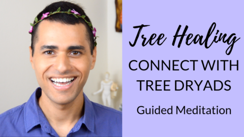 Tree Therapy | Meditation to Connect with the Dryads - Elemental ...