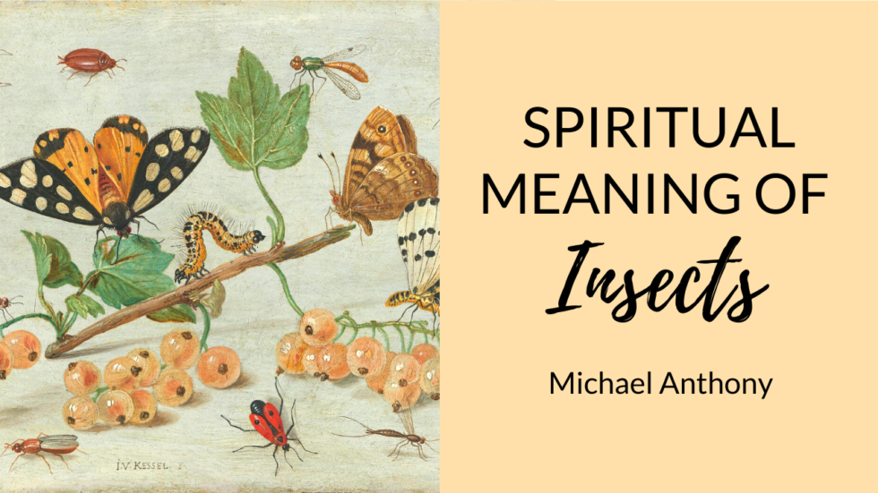 Spiritual Meaning of Insects ? | Spiders, Scorpions, Worms, and more ...
