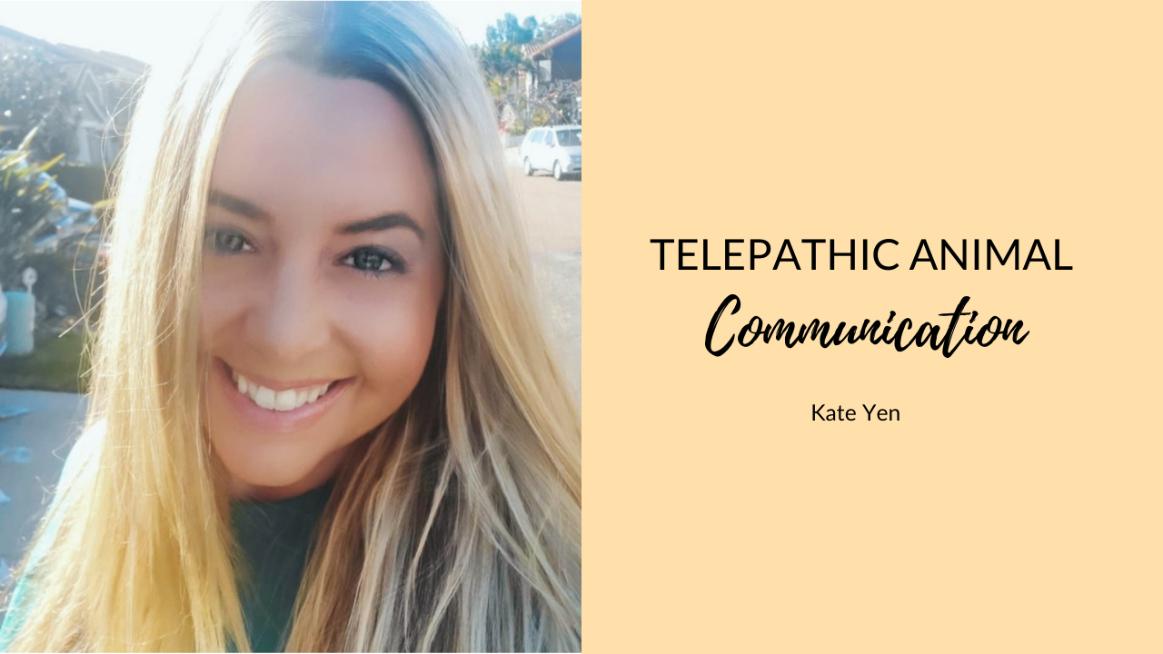 🐶 Telepathic Communication with Animals - George Lizos: Psychic Healer ...